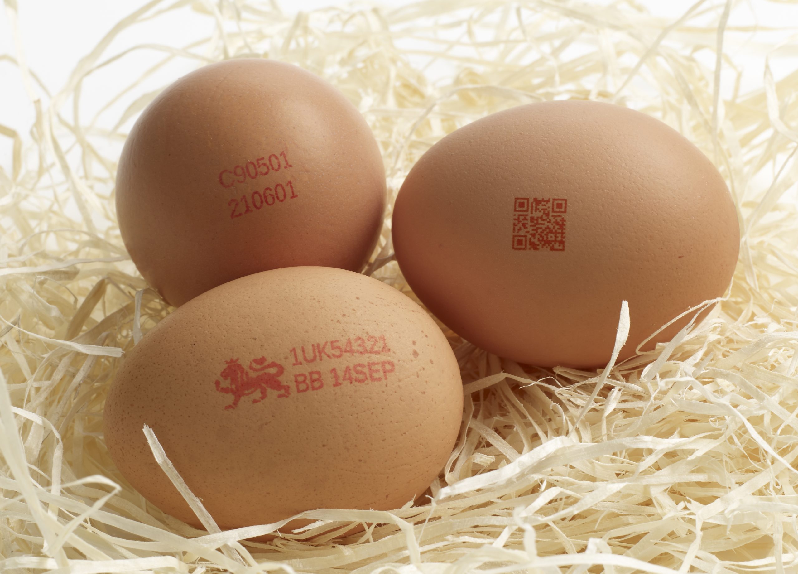 Home - Unique Coding Solutions Ltd.